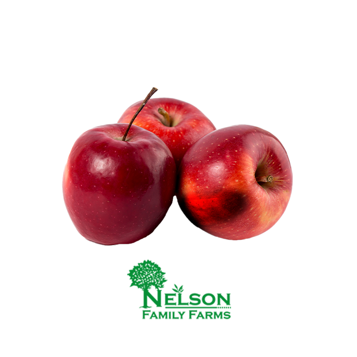 Apples: A Crunchy Delight Packed with Nutritional Benefits
