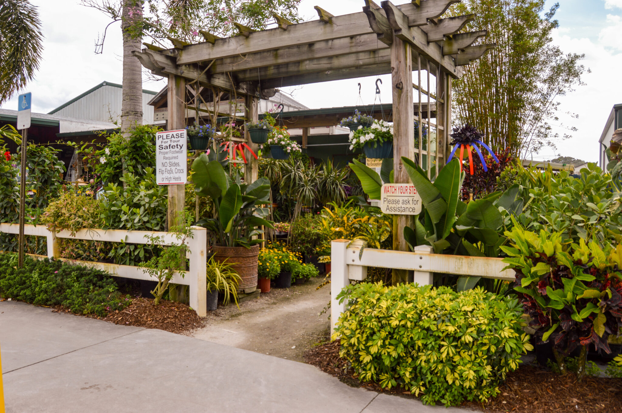 Plants Archive - Nelson Family Farms