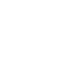 Fresh Corn from Nelson's Family Farms