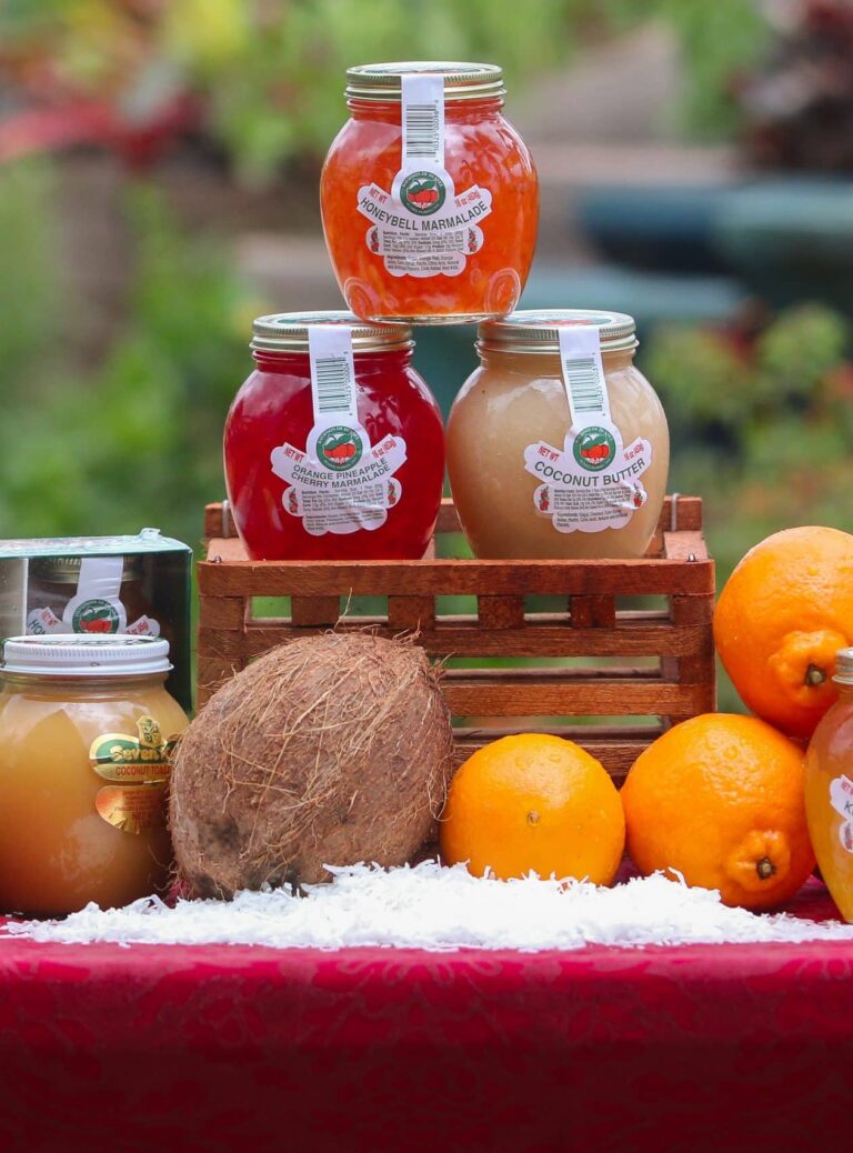 About Nelson Family Farms | Outdoor Market in Fort Pierce, FL