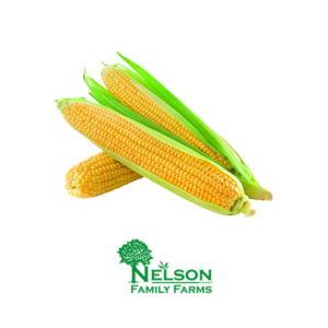 Fresh Corn from Nelson's Family Farms