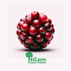 Fresh Fruits at Nelson Family Farms | Local Produce Market