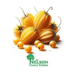 Fresh Fruits at Nelson Family Farms | Local Produce Market