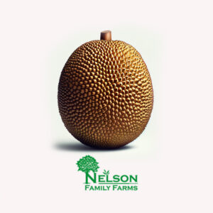 Fresh Fruits at Nelson Family Farms | Local Produce Market
