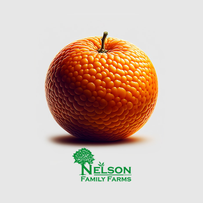 Orri Tangerines - Nelson Family Farms