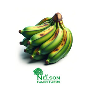 Fresh Fruits at Nelson Family Farms | Local Produce Market